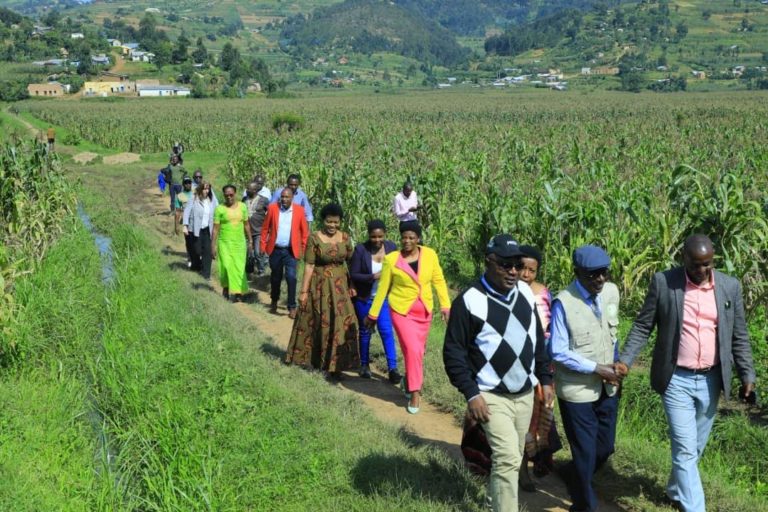 Launching of the KUNGAHARA Burera Project in Butaro – ARECO-RWANDA NZIZA