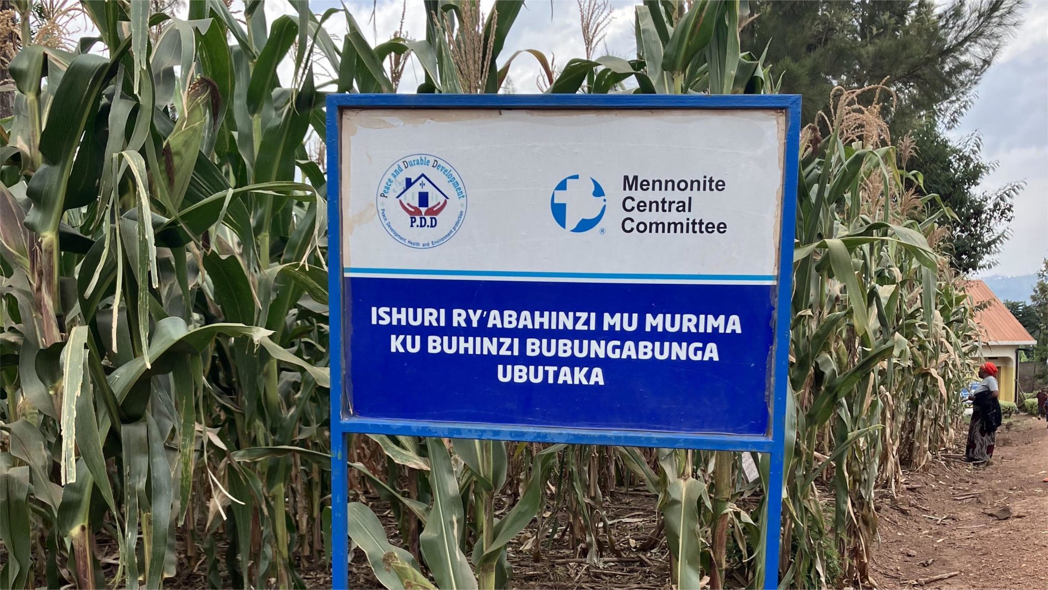 Conservation Agriculture – Study Tour to Kinoni – ARECO-RWANDA NZIZA